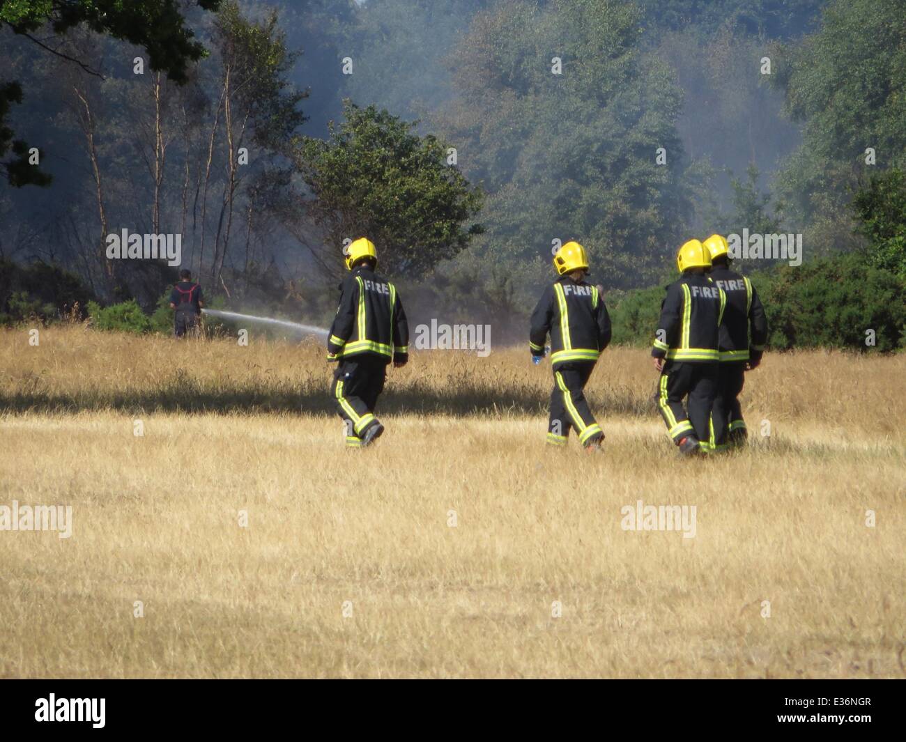 Forest fire in Wanstead flats close to Whipps cross hospital and ...