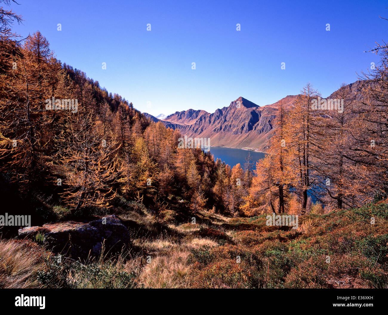 Lago Ritom Ticino Switzerland Stock Photo - Alamy