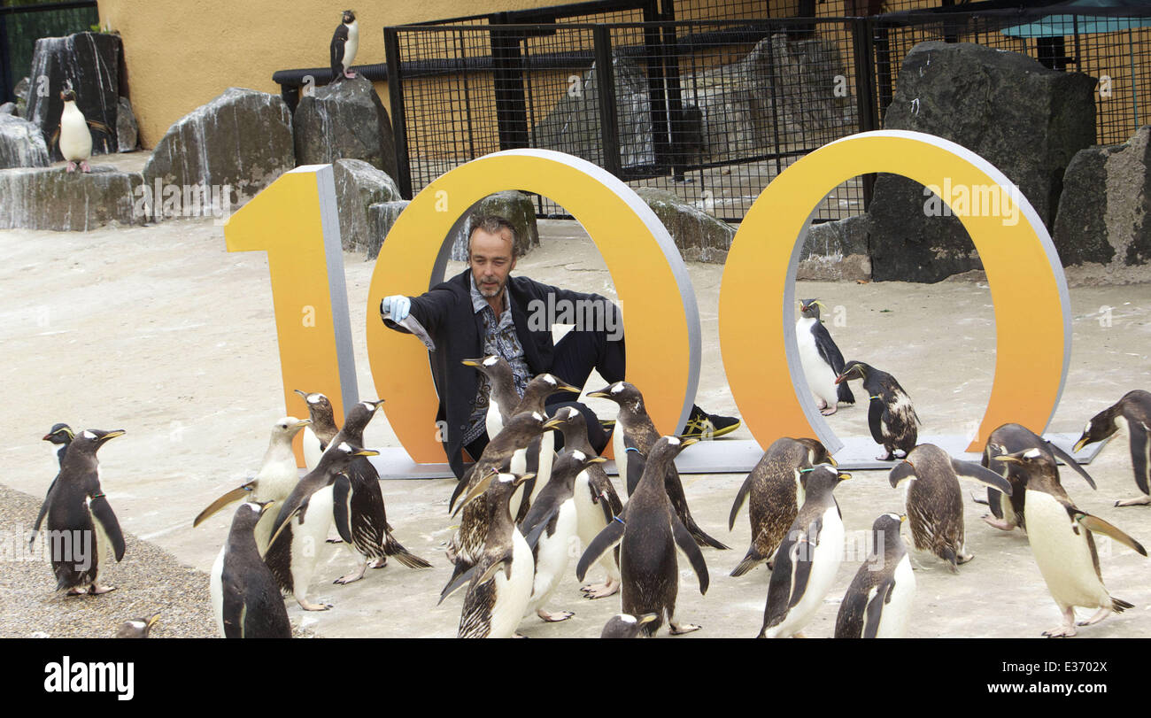 John hannah actor hi-res stock photography and images - Alamy