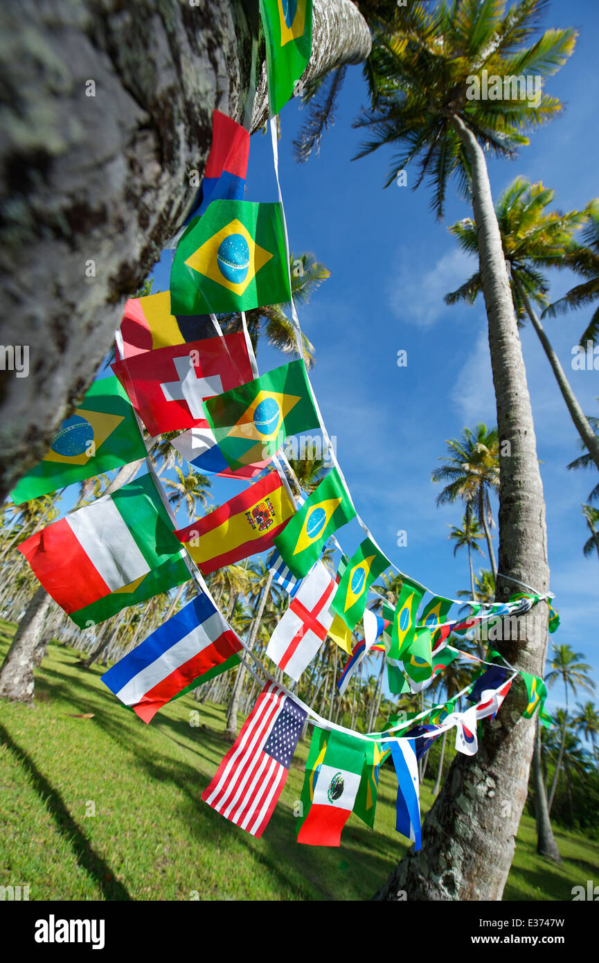 International Flags Brazil