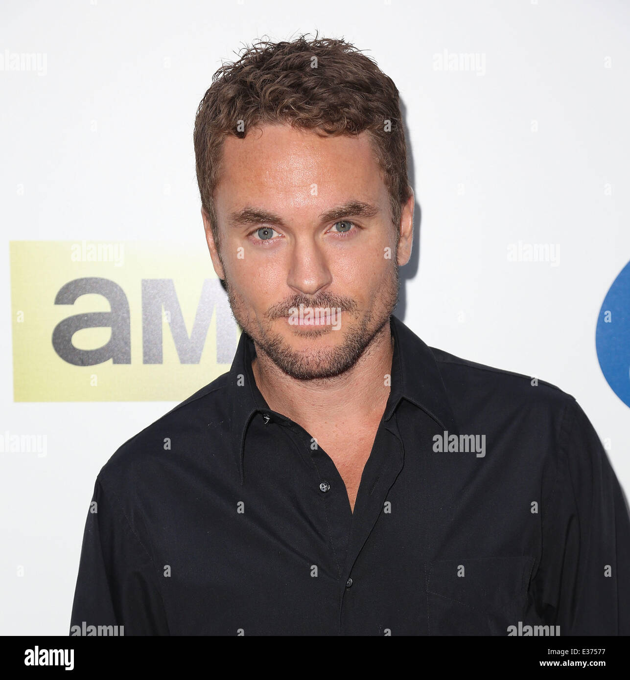 Celebrities attend AMC's 'Low Winter Sun' Los Angeles premiere at Arc ...