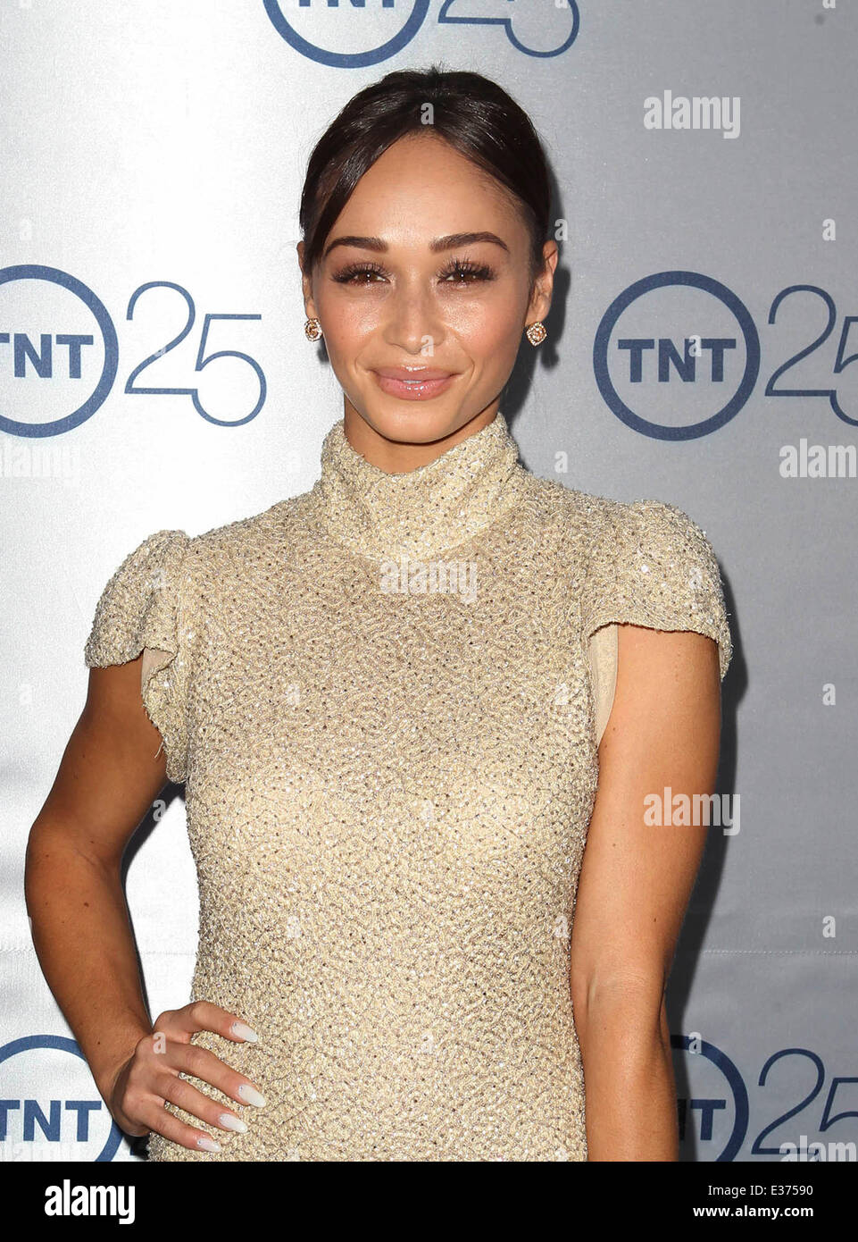 TNT's 25th Anniversary Party held at the Aqua Star Pool at The Beverly ...