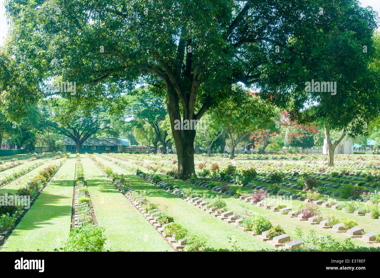 The Kanchanaburi War Cemetery, Thailand Stock Photo - Alamy