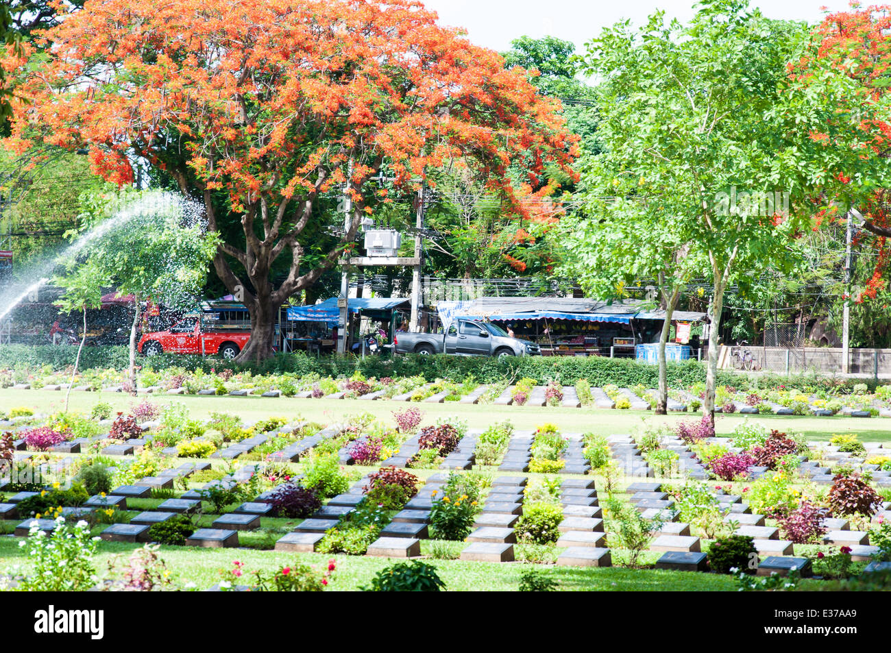 The Kanchanaburi War Cemetery , Thailand Stock Photo - Alamy