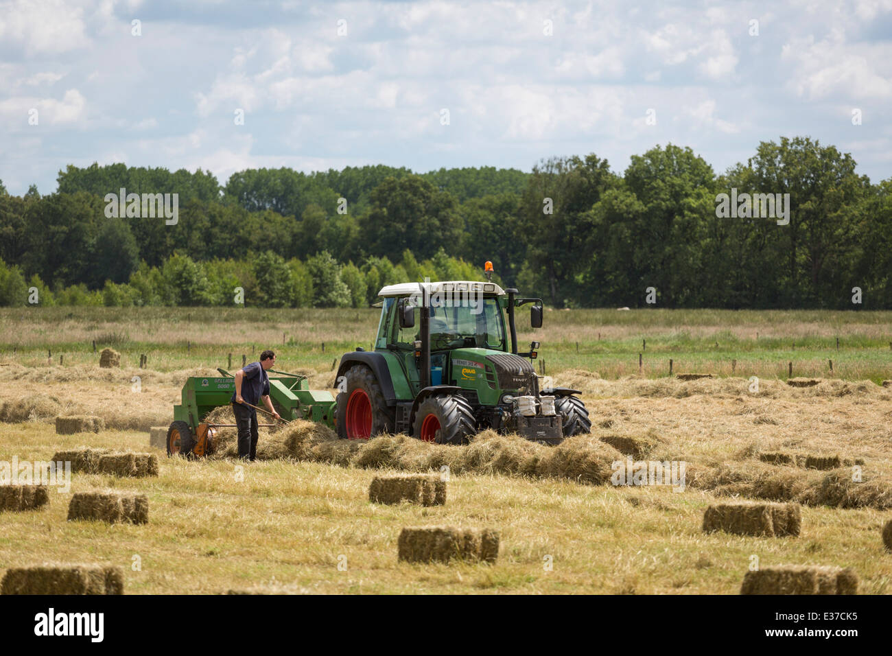 Netherlands dutch farming farmer hi-res stock photography and images ...
