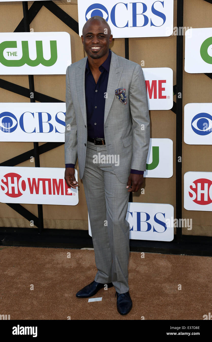 CW, CBS and Showtime's 2013 Summer TCA Party - Arrivals Featuring ...