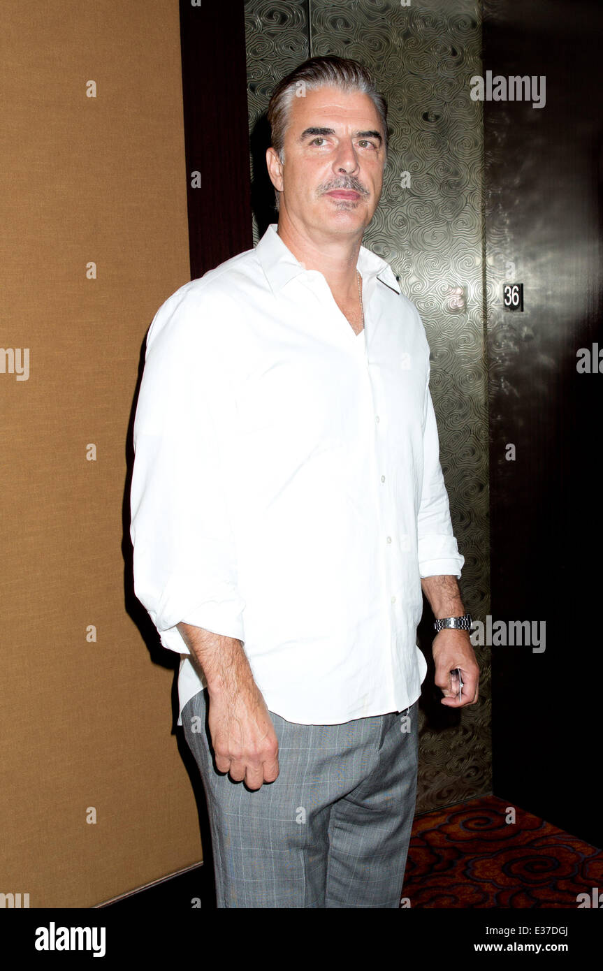 NYC Lovelace Press Conference Featuring: Chris Noth Where: New York, NY ...