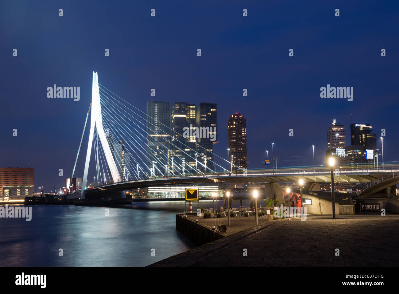 Erasmus Bridge in Rotterdam at night Stock Photo - Alamy