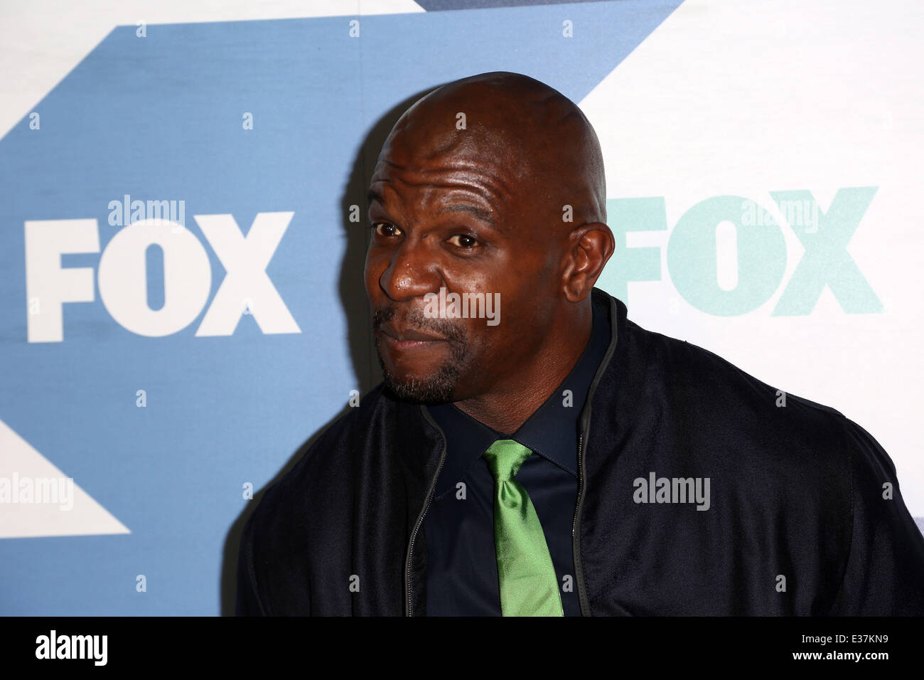 Celebrities attend Fox Summer TCA All Star Party. Featuring: Terry ...