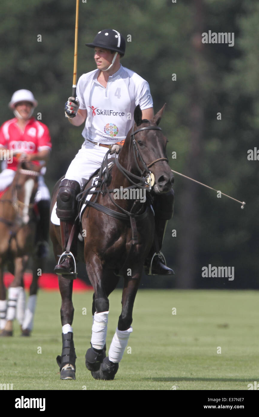 Prince William and Prince Harry play polo at the Audi Polo day at ...