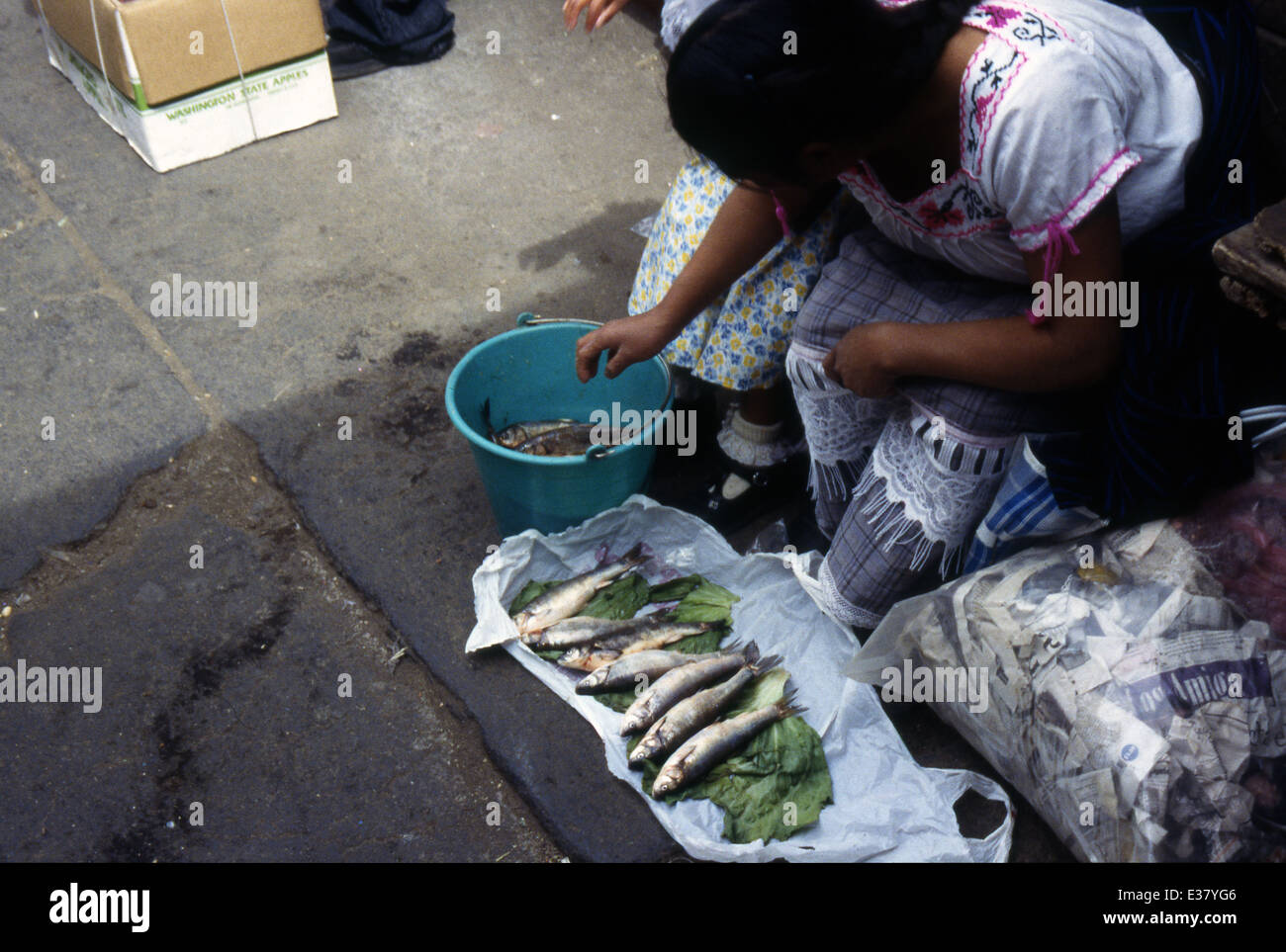 Mexico, market, fish selling Stock Photo - Alamy