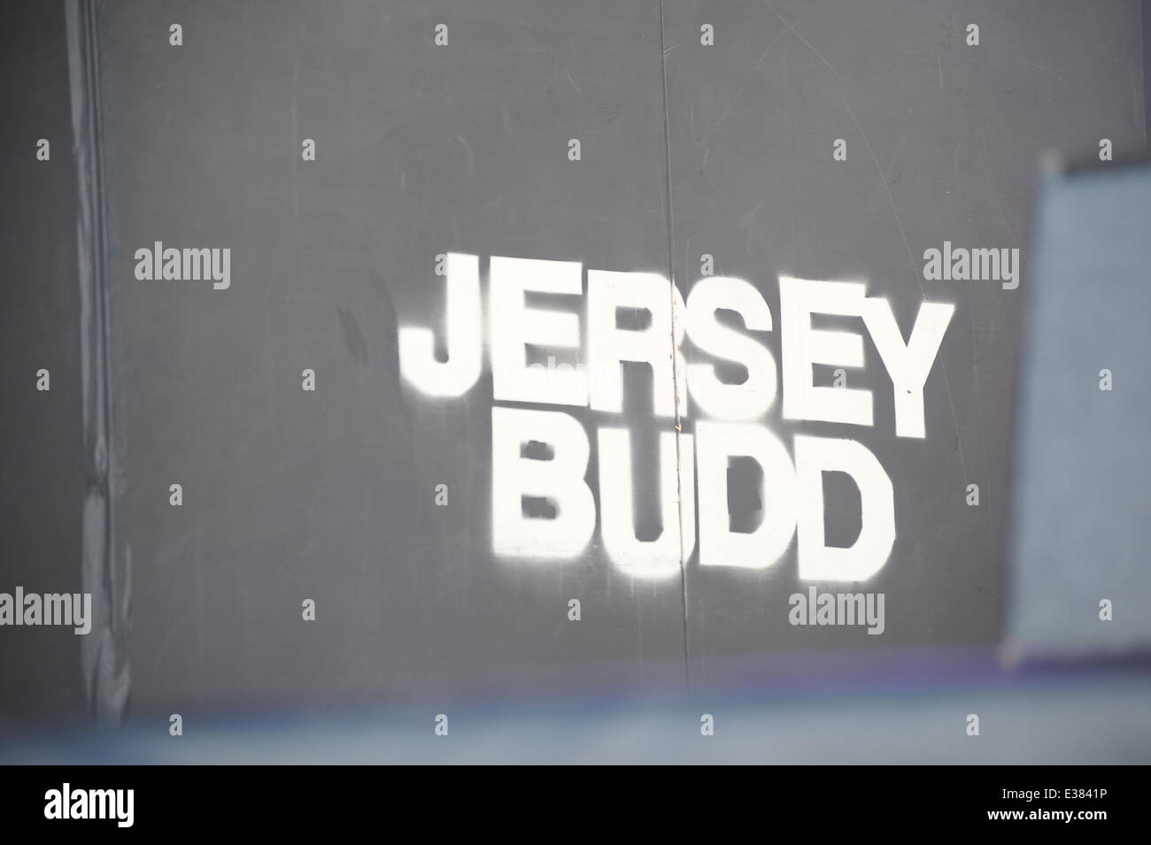 Strawberry Fields Festival Day 2 Featuring: Jersey Budd Where ...