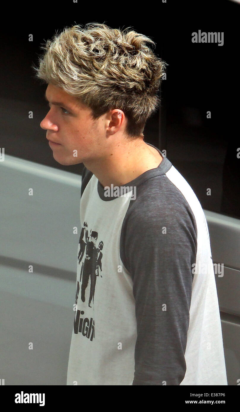 Niall Horan of 1 Direction arrives at London Heathrow on a flight from ...