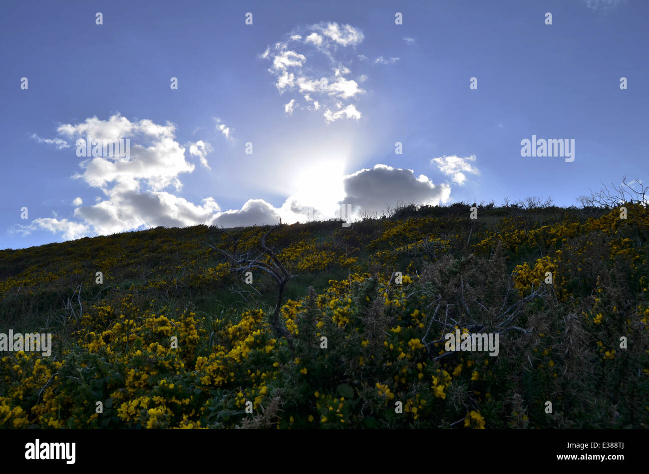 Sunlight breaking through the clouds above a hilltop on the cliffs of ...