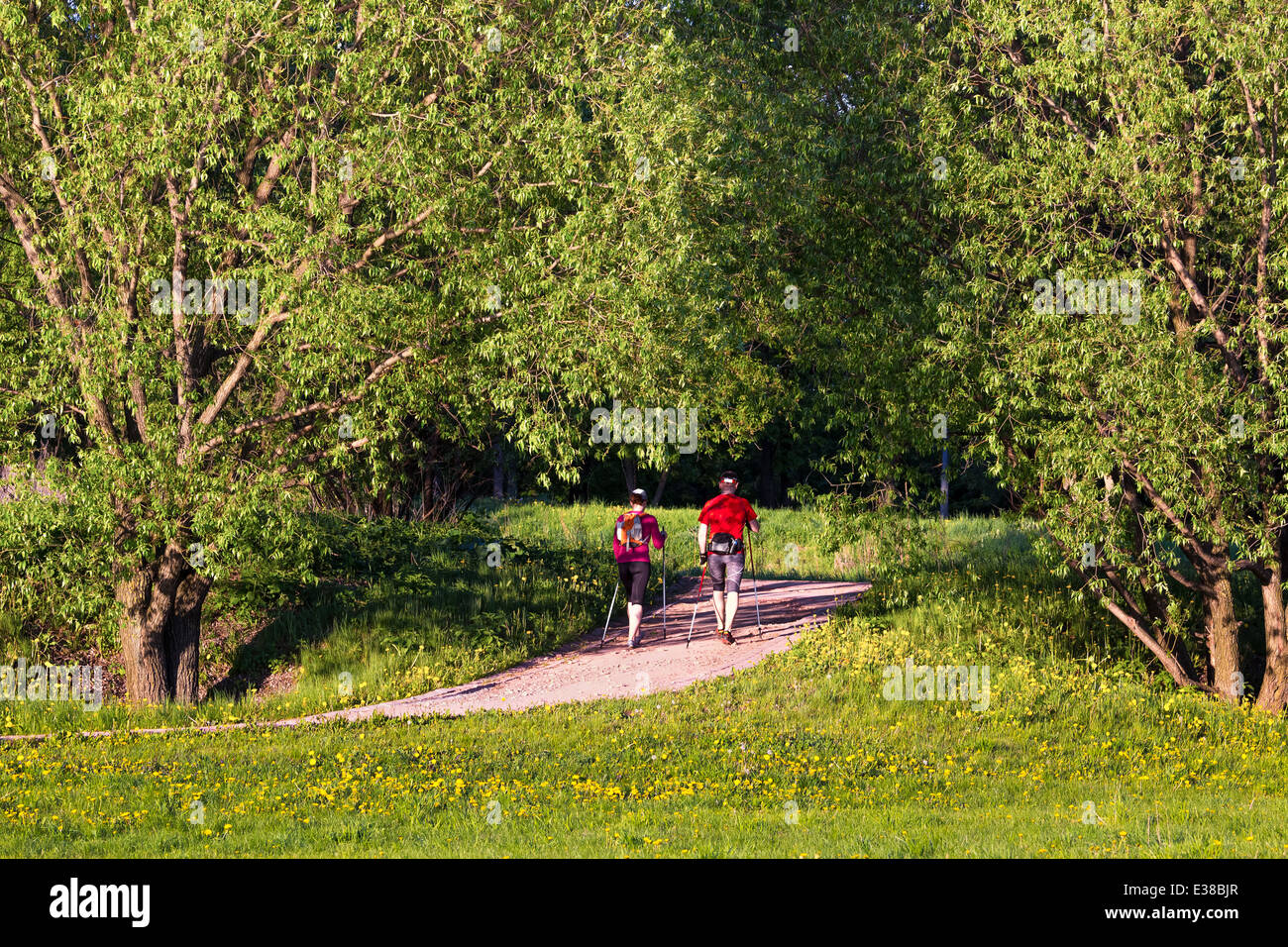 Footpaths with a pair people of hiking in wooded park on a sunny day ...