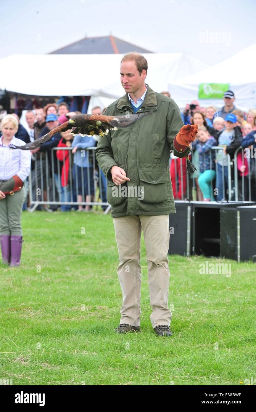 Prince William visiting the Anglesey show in Wales were he came to say ...