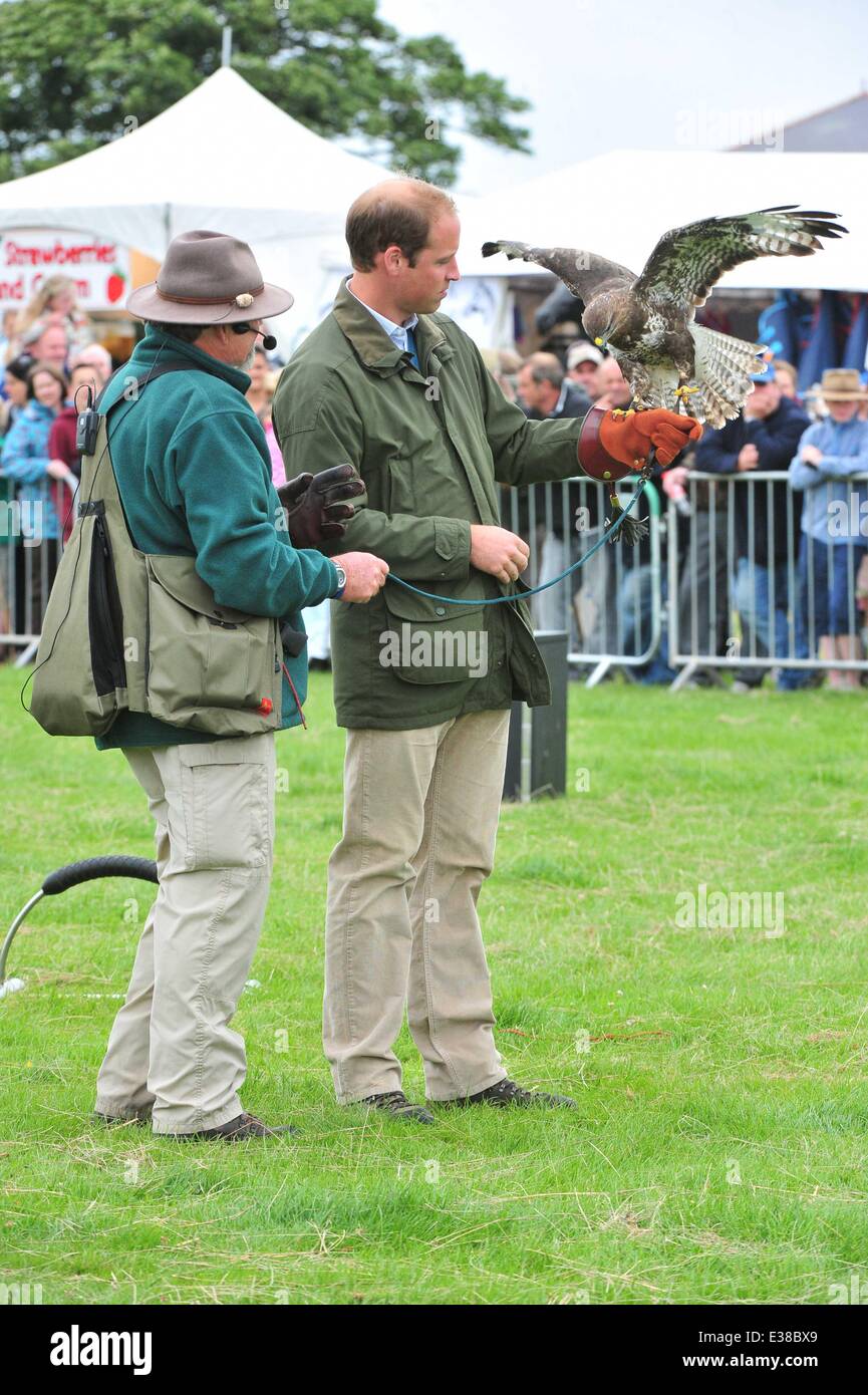Prince William visiting the Anglesey show in Wales were he came to say ...