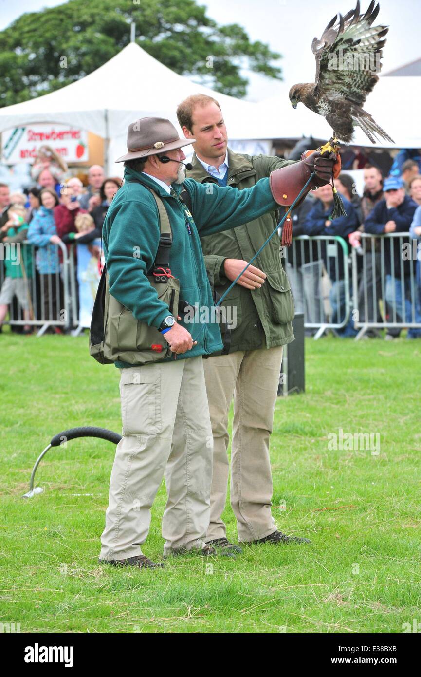 Prince William visiting the Anglesey show in Wales were he came to say ...