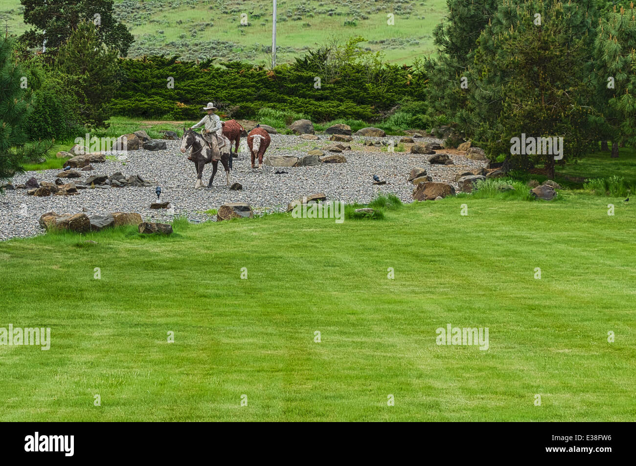Cattle roundup memorial statues. Pendleton, Oregon Stock Photo - Alamy