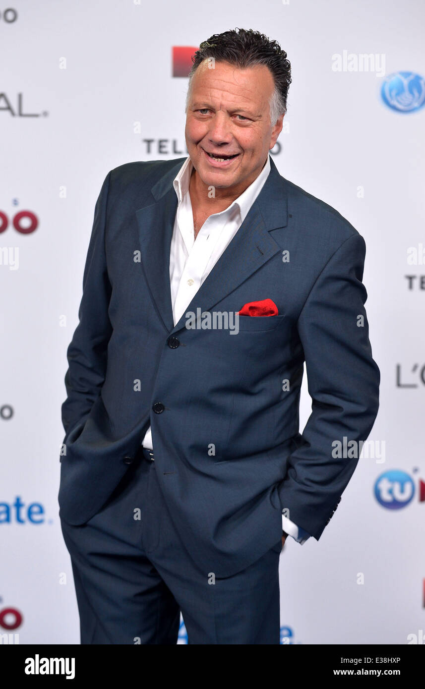 Telemundo's Premios Tu Mundo Awards 2013 - Arrivals Featuring: Roberto ...