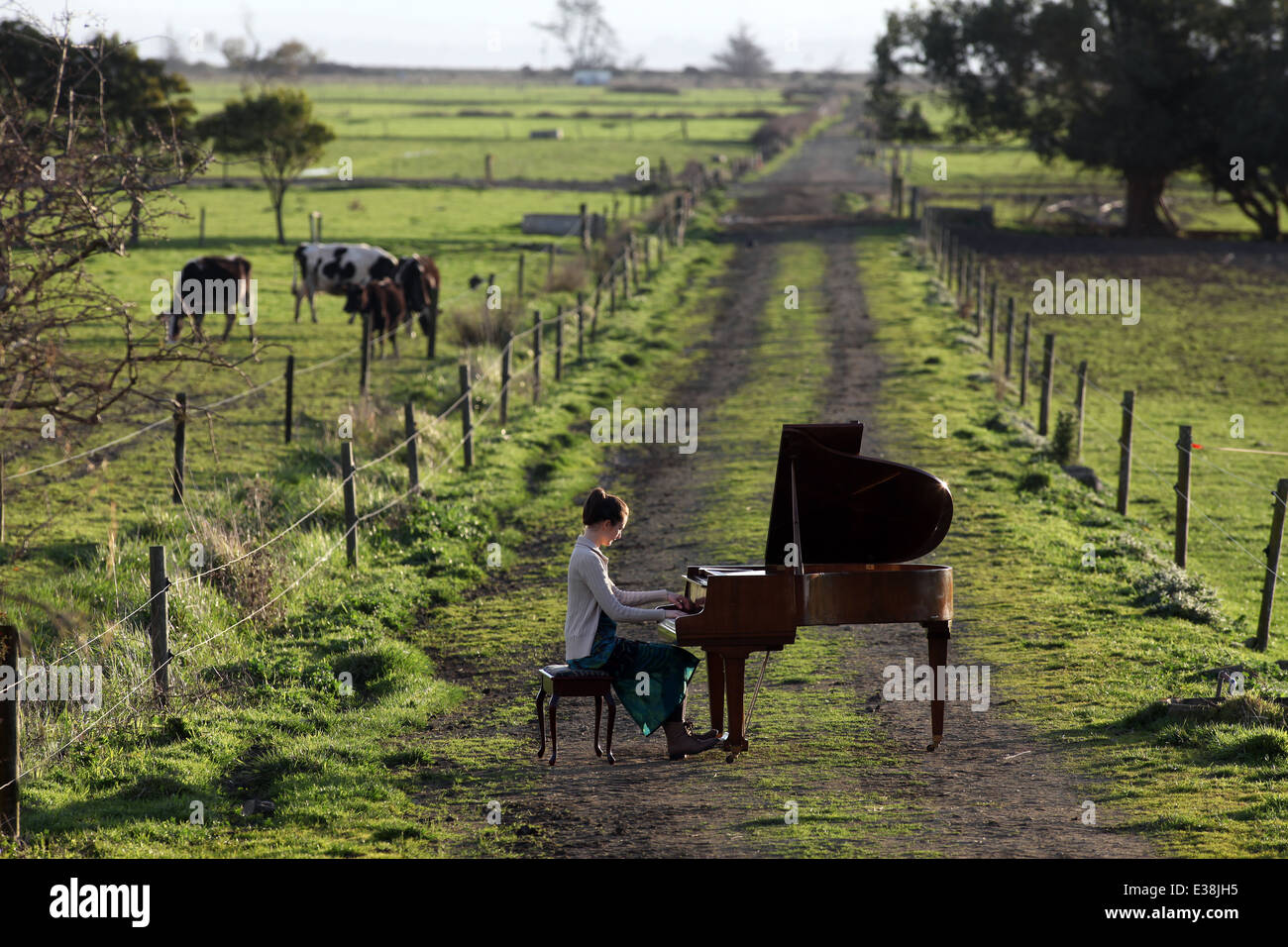 French pianist Claire Rouault playing her baby grand piano in fields ...