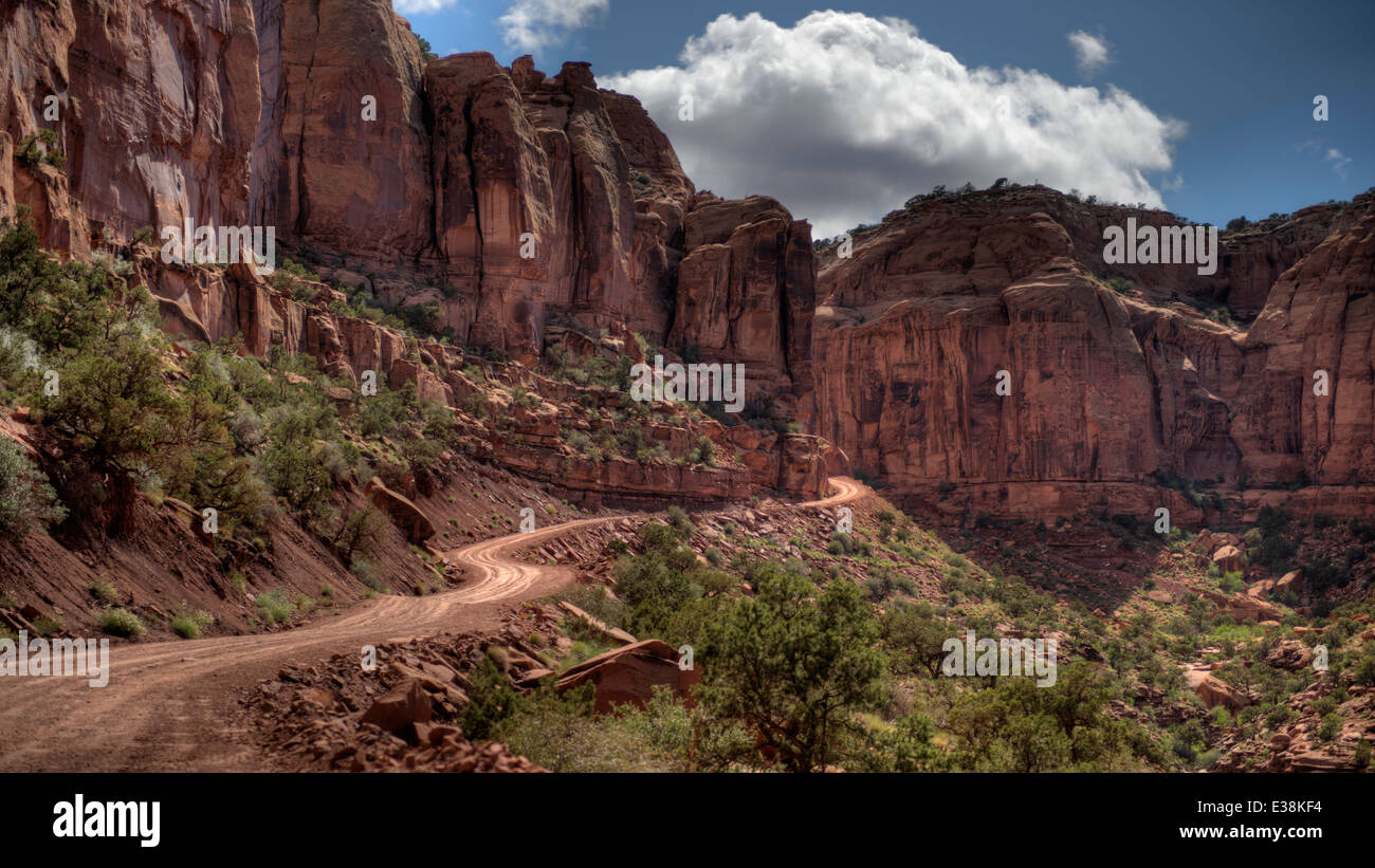 Long canyon road hi-res stock photography and images - Alamy