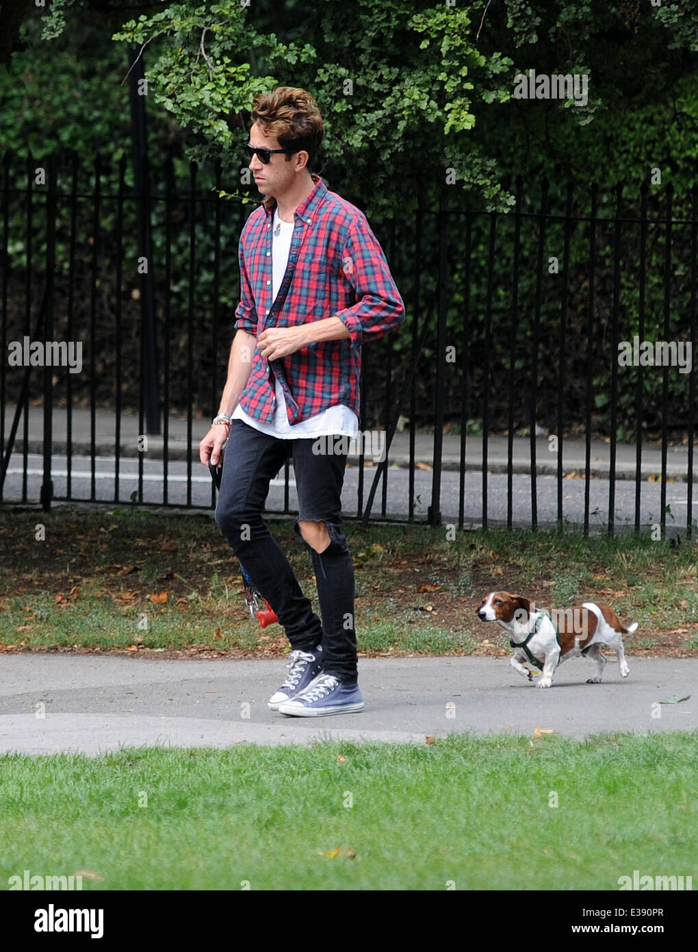Nick Grimshaw pictured walking his dogs on Primrose Hill in London ...