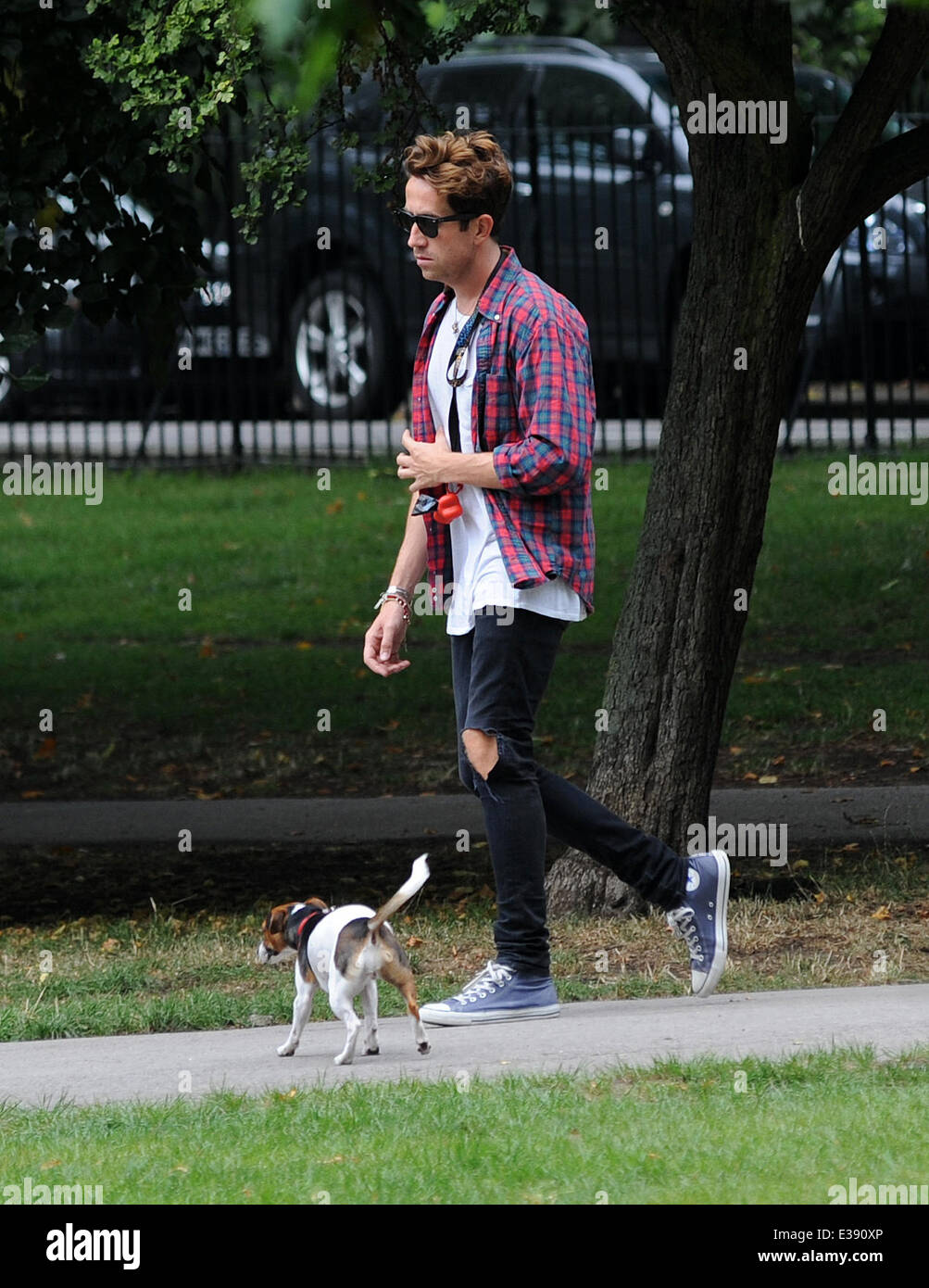 Nick Grimshaw pictured walking his dogs on Primrose Hill in London ...
