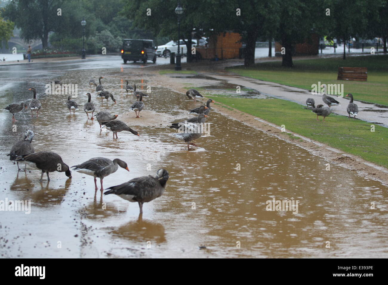 Wet weather pictures from Central London, Hyde Park and Notting Hill ...