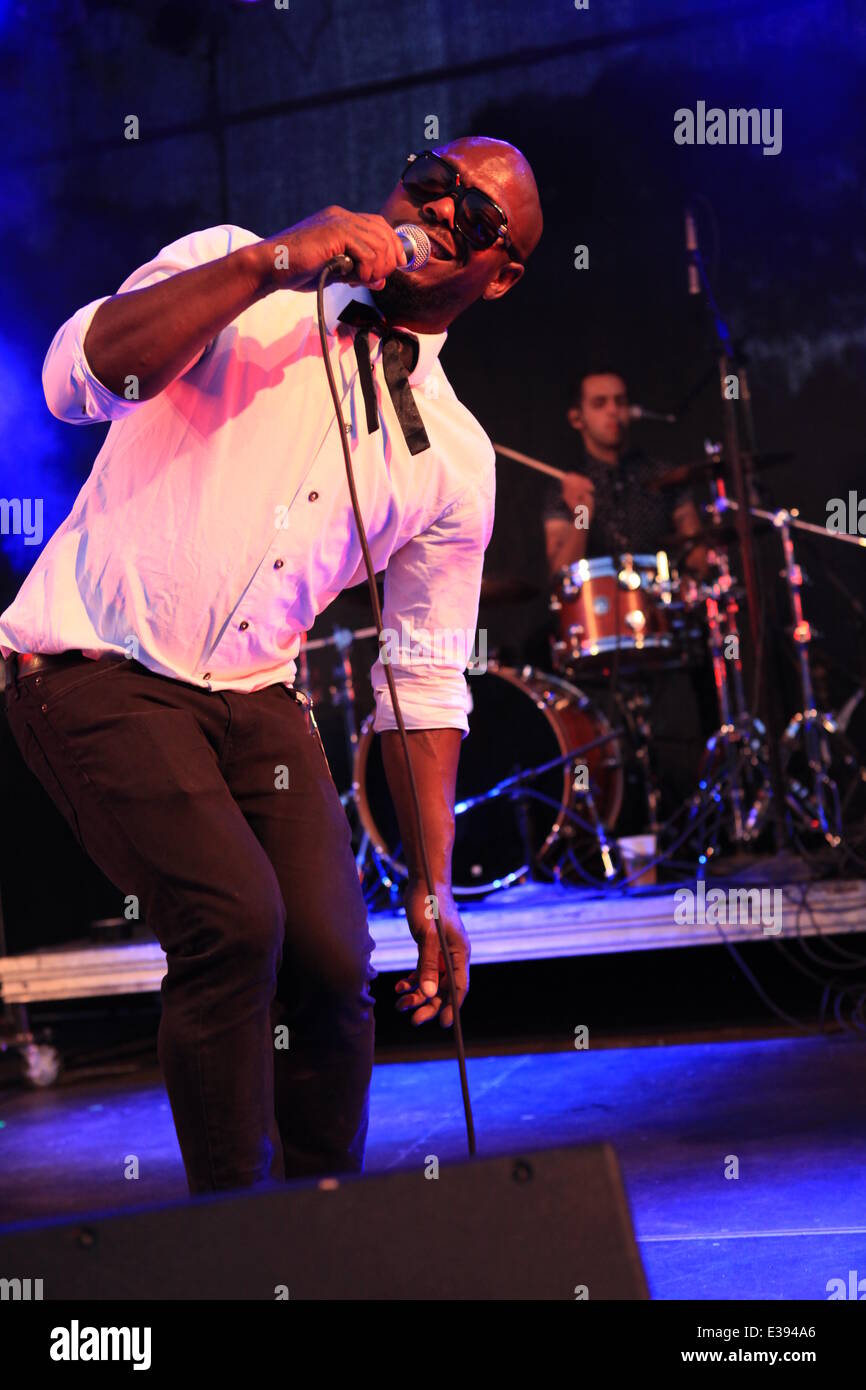 Afro Punk Festival - Day One at the Commodore Barry Park Featuring ...