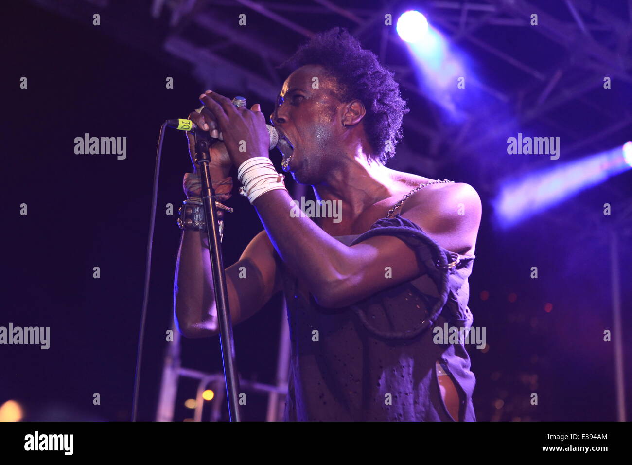 Afro Punk Festival - Day One at the Commodore Barry Park Featuring ...
