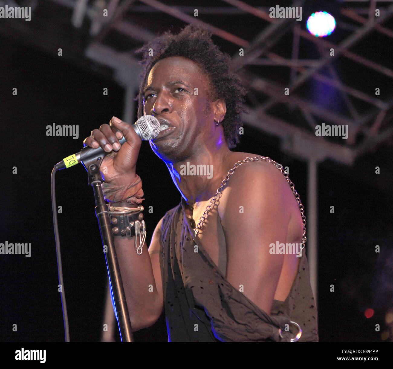 Afro Punk Festival - Day One at the Commodore Barry Park Featuring ...