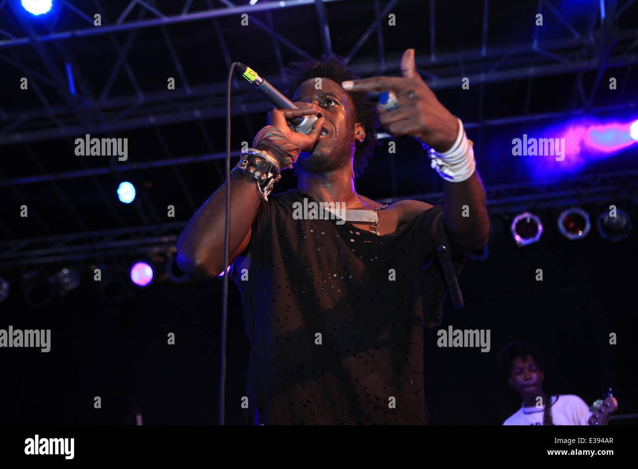 Afro Punk Festival - Day One at the Commodore Barry Park Featuring ...