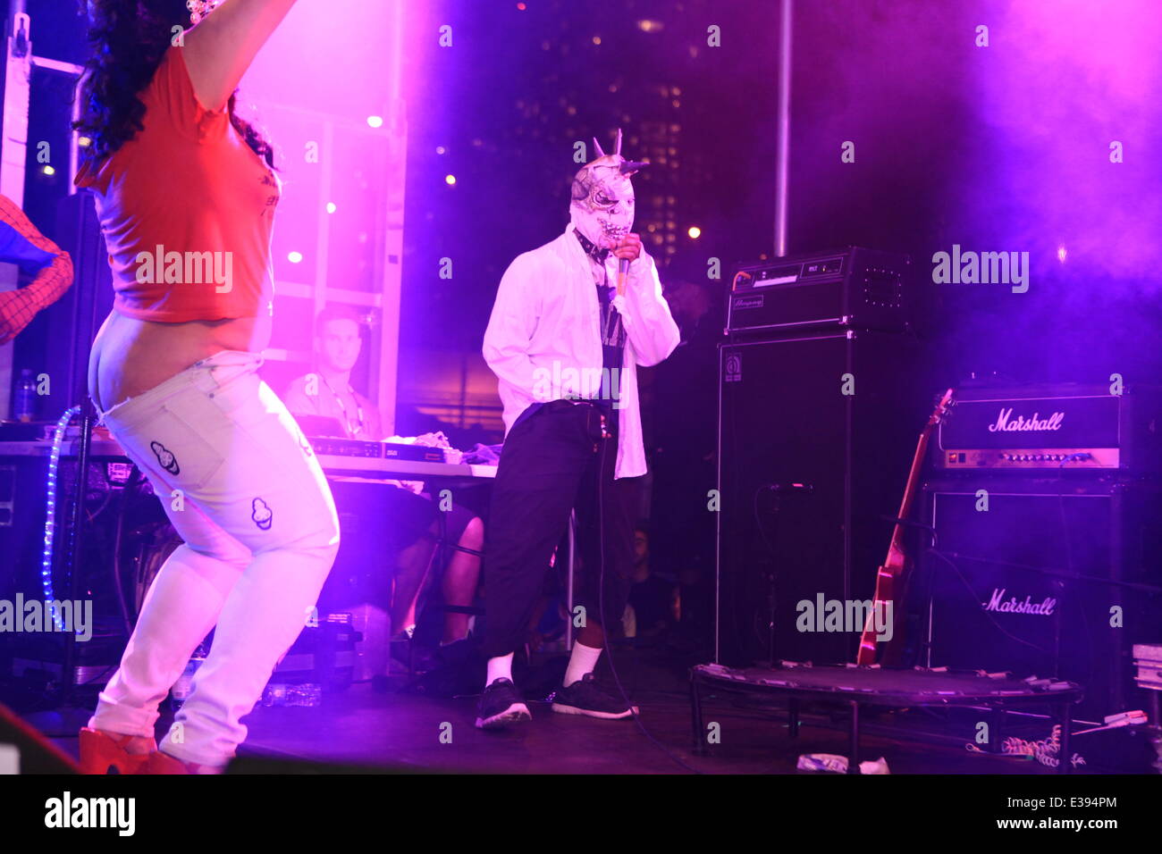 Afro Punk Festival - Day One at the Commodore Barry Park Featuring: CX ...