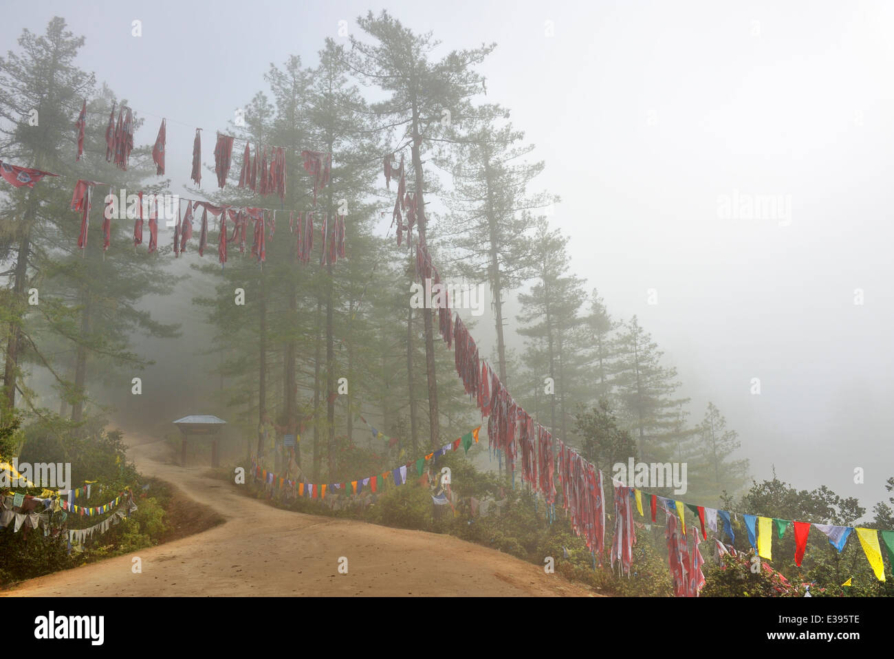Prayer flags along the path to Taktshang Goemba monastery in low cloud ...