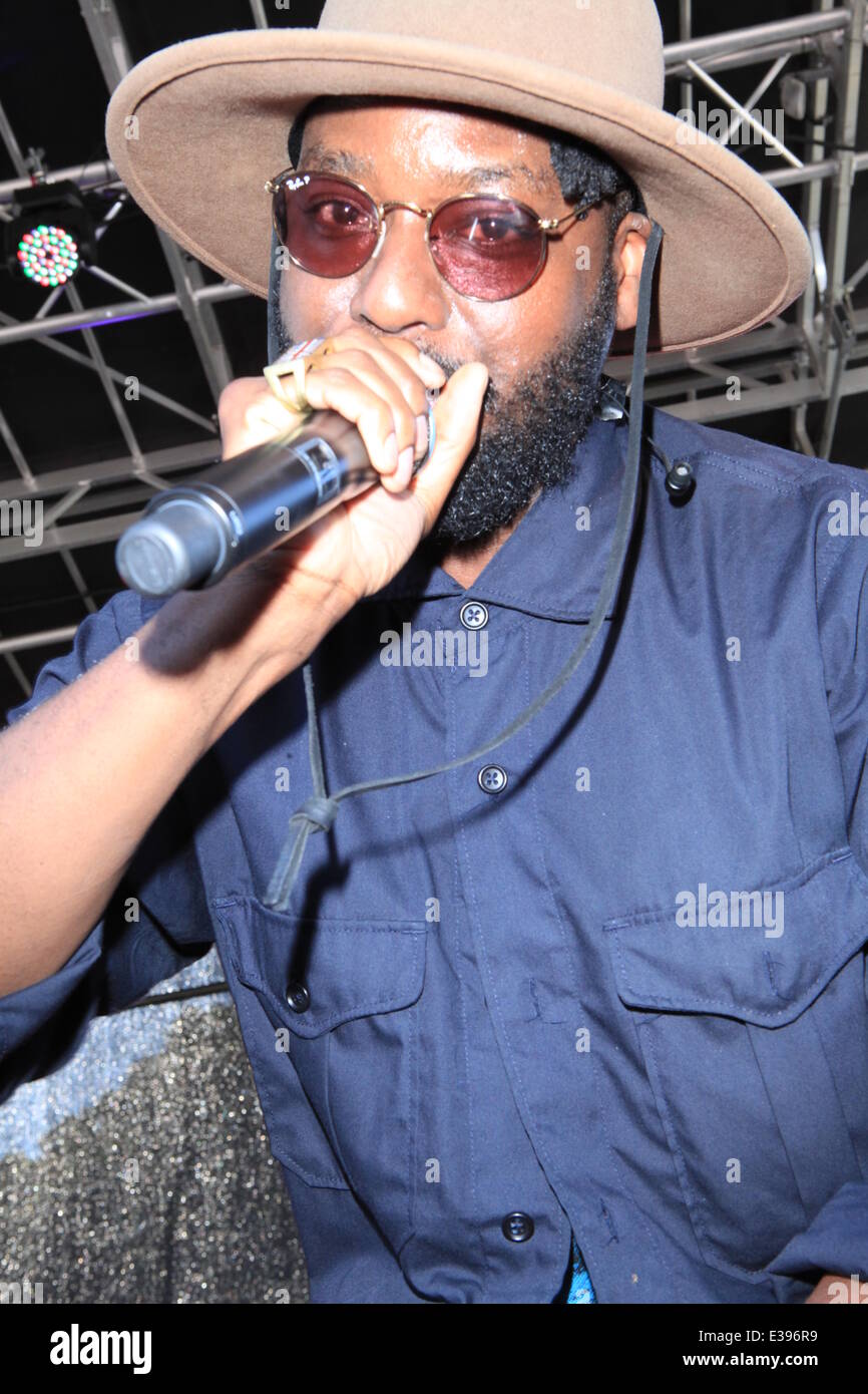 Afropunk Festival at Brooklyns own Commodore Barry Park - day two ...