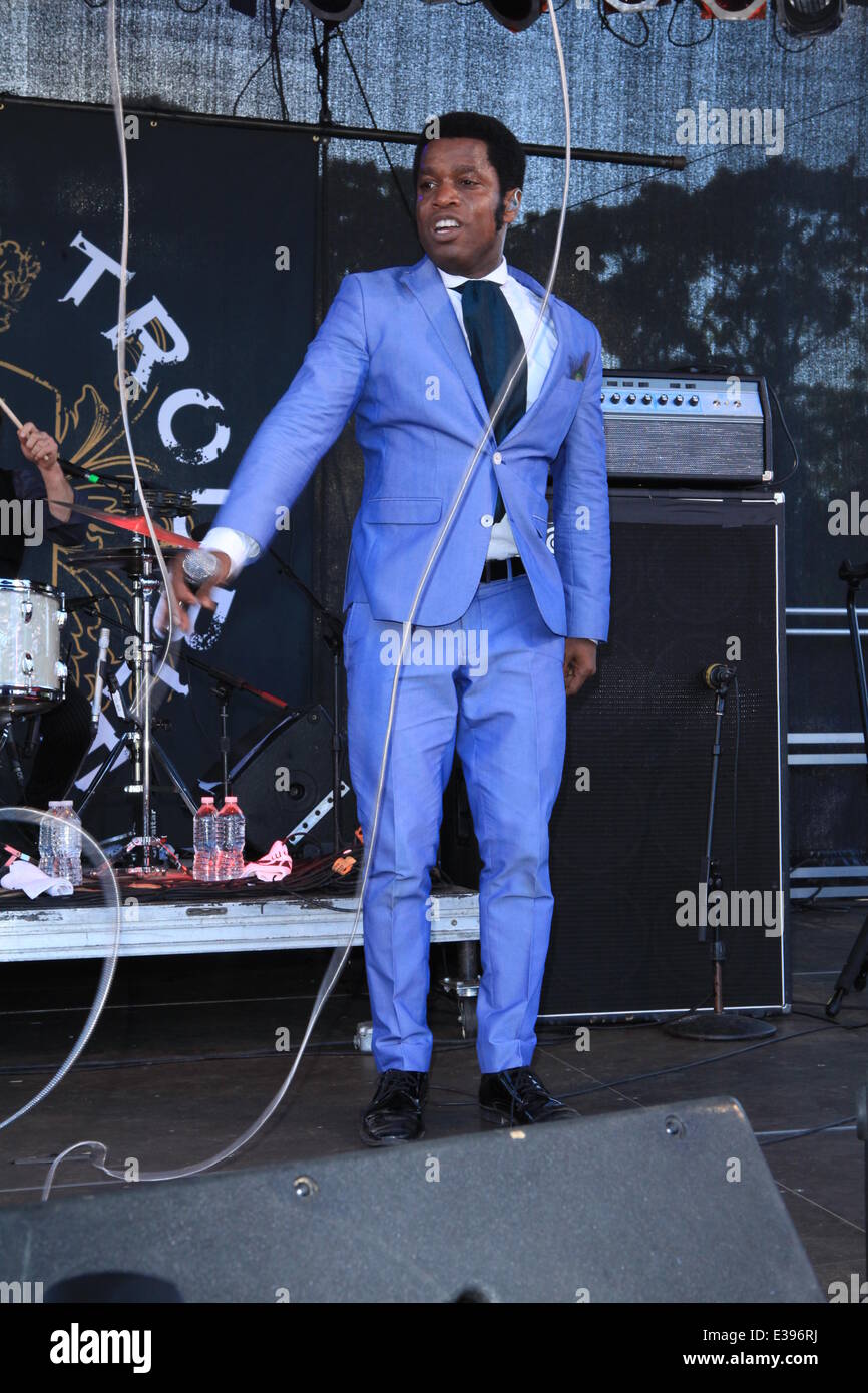 Afropunk Festival at Brooklyns own Commodore Barry Park - day two ...