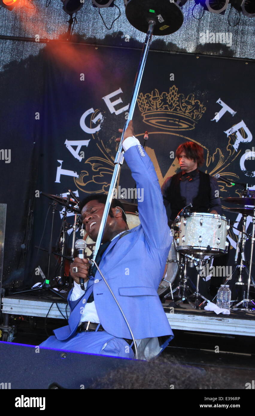 Afropunk Festival at Brooklyns own Commodore Barry Park - day two ...