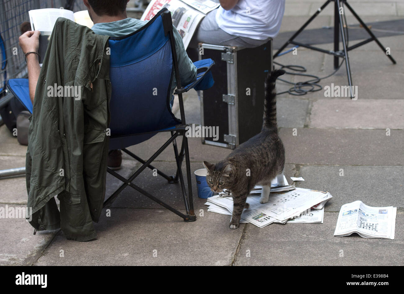 Freya the Chancellor's cat wanders around outside number 10 as press ...