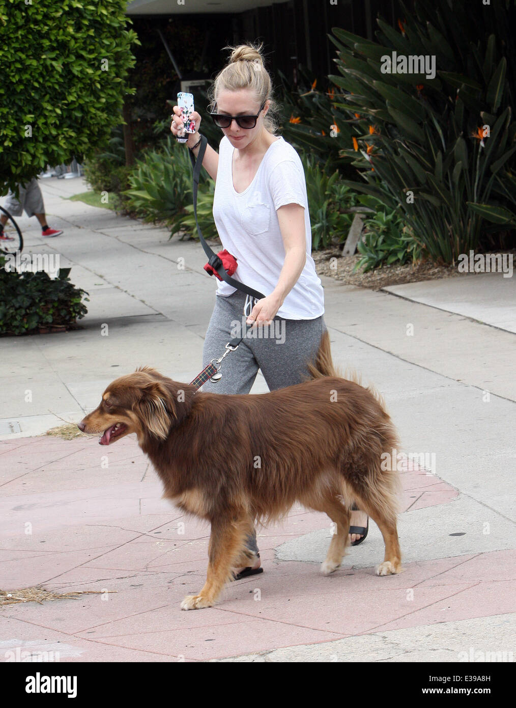 'Lovelace' actress, Amanda Seyfried spotted out and about with her dog ...