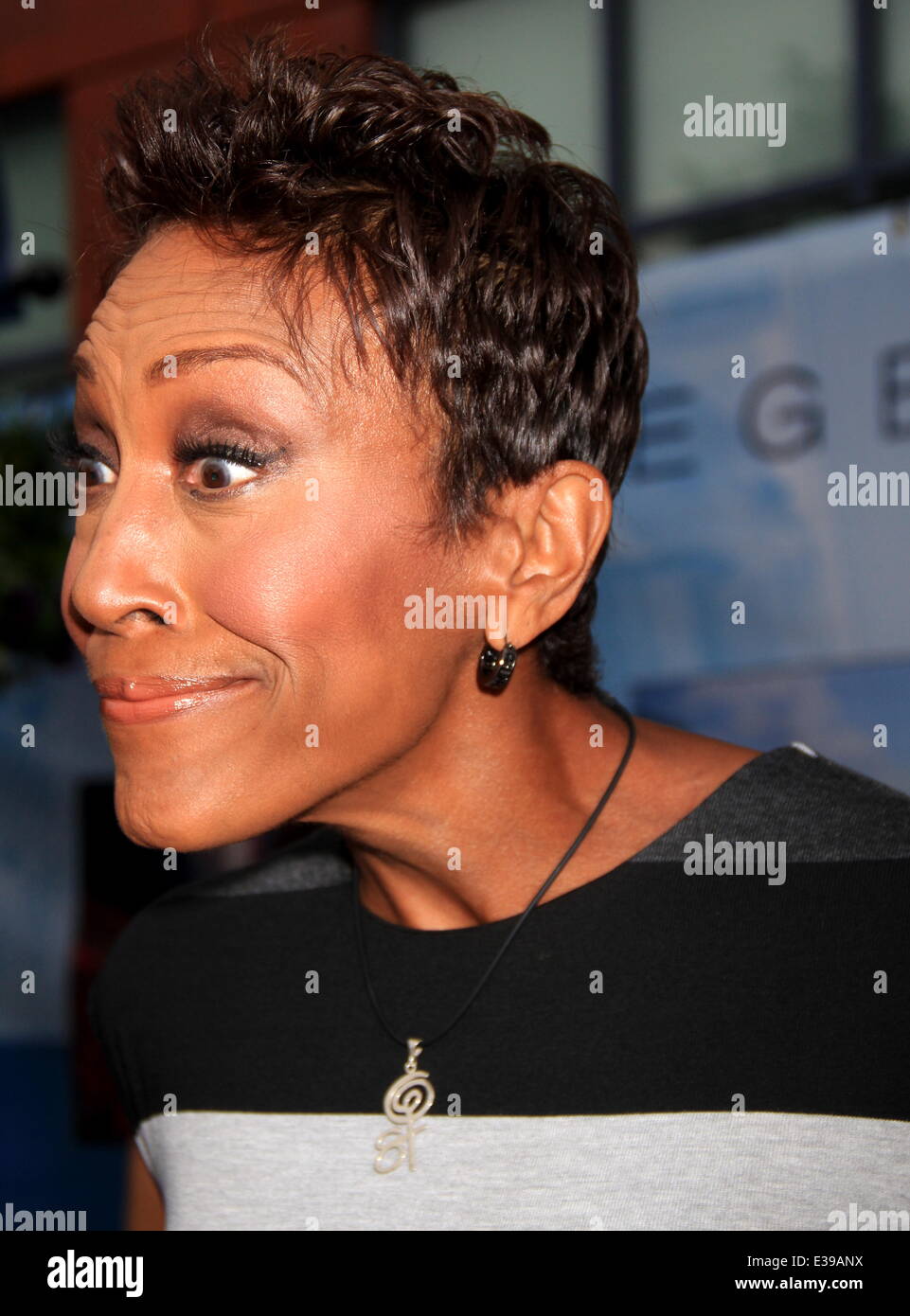 Stars come out for the 2013 Tennis US Open opening night gala Featuring ...