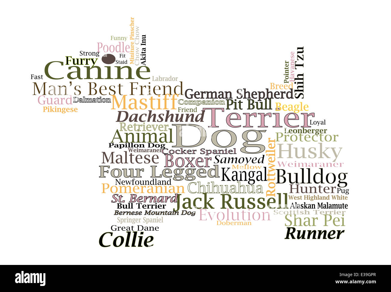 Words stacked on a white background about dogs and dog breeds Stock ...