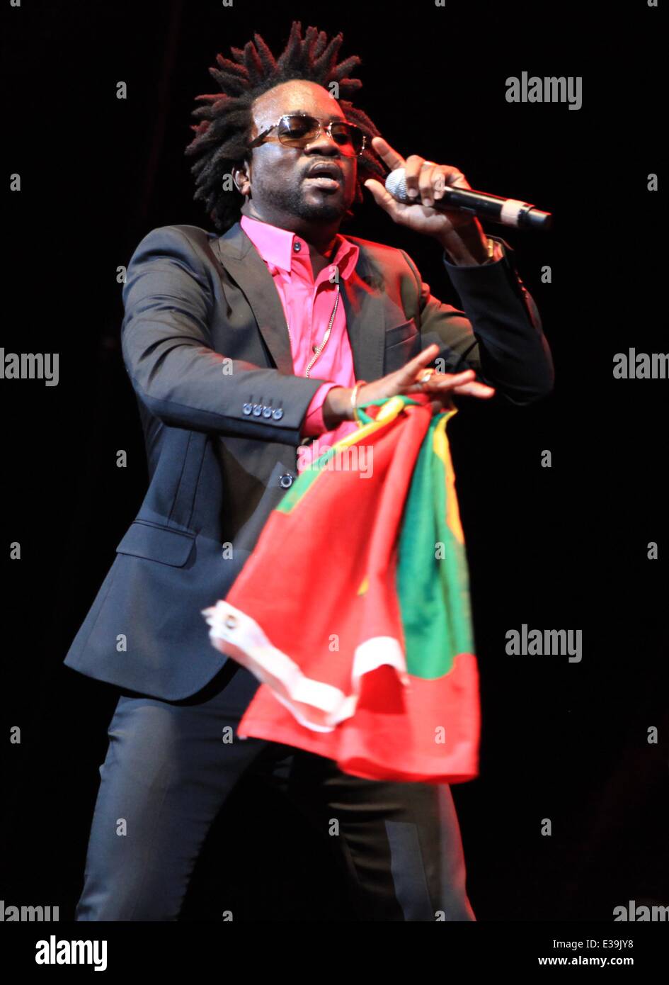 Caribbean Fever Music Festival at Barclay's Center - Performances ...