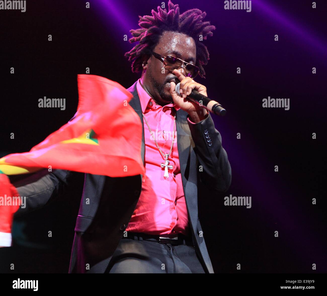 Caribbean Fever Music Festival at Barclay's Center - Performances ...