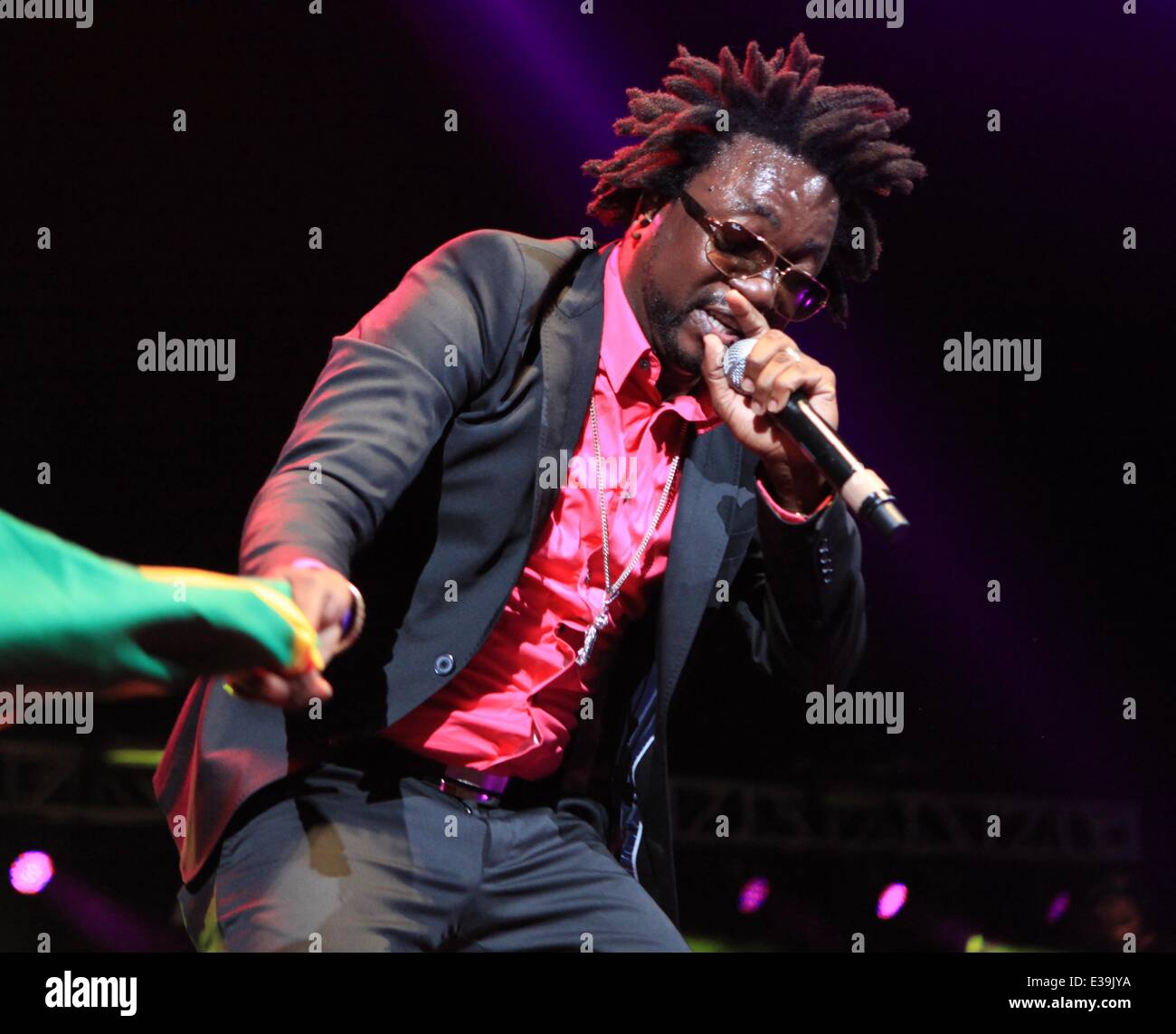 Caribbean Fever Music Festival at Barclay's Center - Performances ...