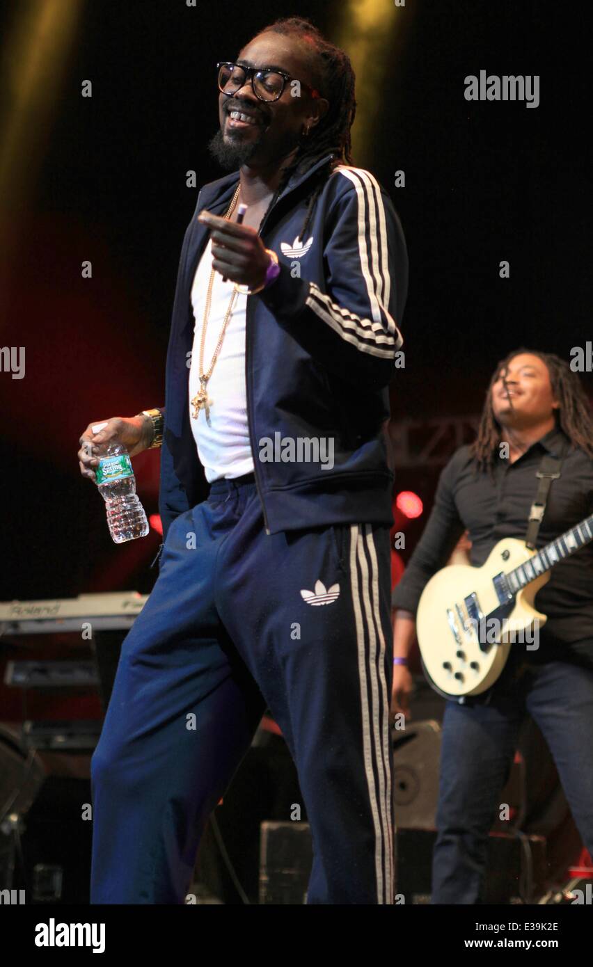 Caribbean Fever Music Festival at Barclay's Center - Performances ...