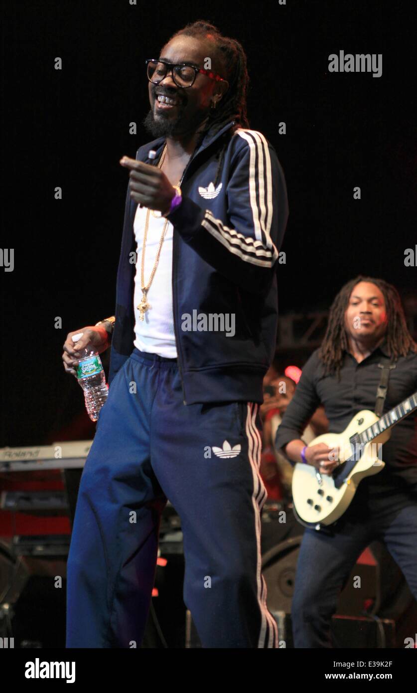 Caribbean Fever Music Festival at Barclay's Center - Performances ...