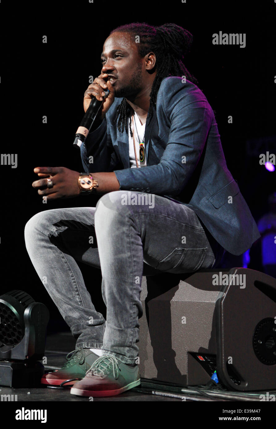 Caribbean Fever Music Festival at Barclay's Center - Performances ...