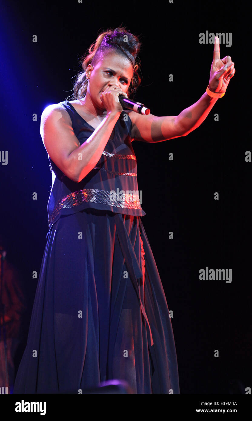 Caribbean Fever Music Festival at Barclay's Center - Performances ...