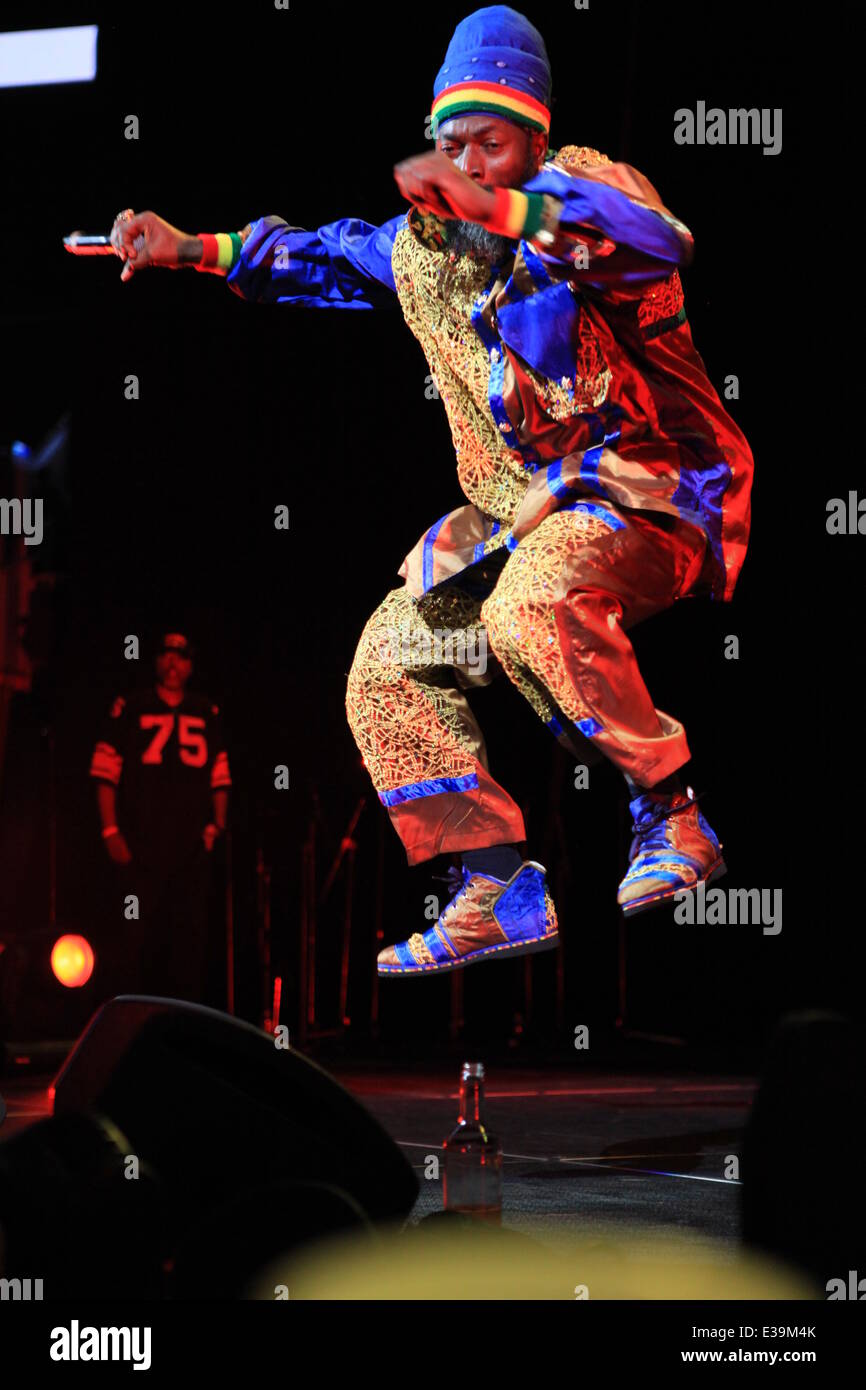 Caribbean Fever Music Festival at Barclay's Center - Performances ...
